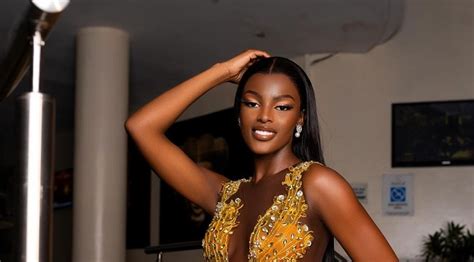 2024 Chidimma Adetshina Wins Miss Universe Nigeria SolaceBase