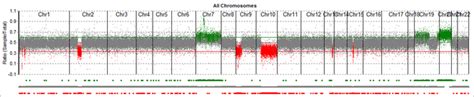 copy number variation tool