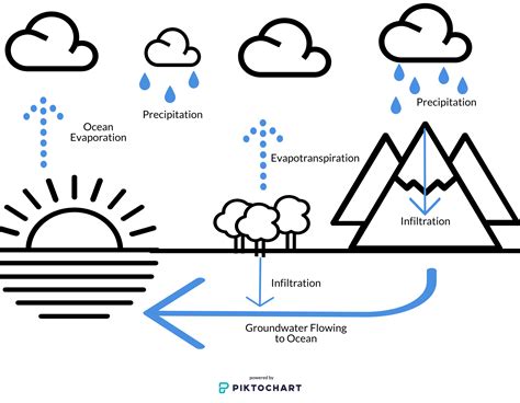 Water Cycle Flow Chart Worksheet