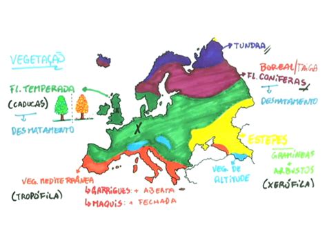 Prof Eliomar Malfatti Ano Quadro Natural Da Europa