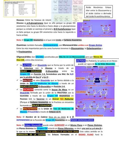 Bioquímica Carbohidratos 2 Carlos Daniel Cárdenas Santos uDocz