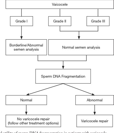 figure 1 from sperm dna fragmentation for the evaluation of male infertility clinical