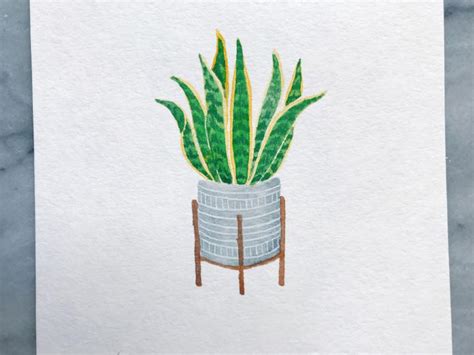 30 Easy Plant Drawing Ideas How To Draw A Plant