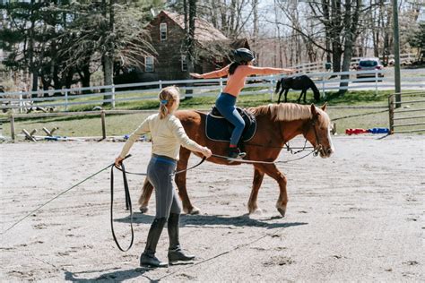 Comment Se Préparer Pour Débuter En équitation Netdays France