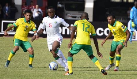 Qualifs Mondial Le Match Entre Lafrique Du Sud Et Le S N Gal