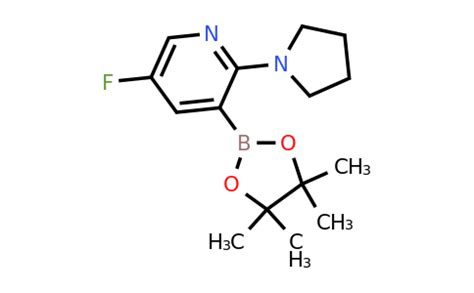 5 Fluoro 2 Pyrrolidin 1 YL 3 4 4 5 5 Tetramethyl 1 3 2 Dioxaborolan