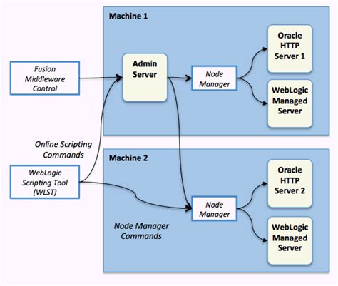 introduction to oracle server