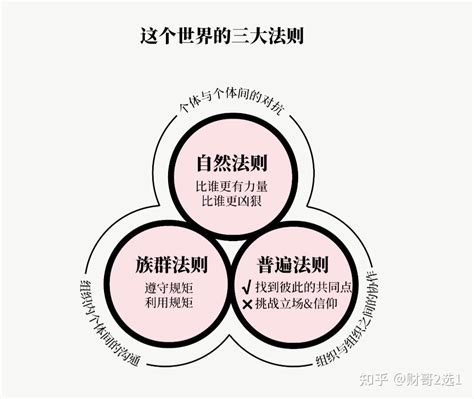 真正厉害的人都掌握第几层逻辑 知乎