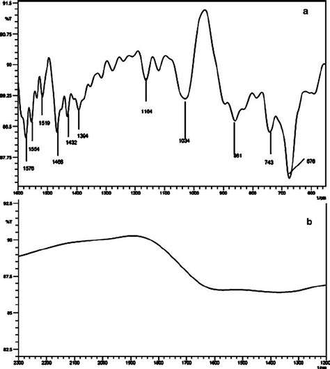 The Fourier Transform Infrared Spectroscopy FTIR Spectra Of A
