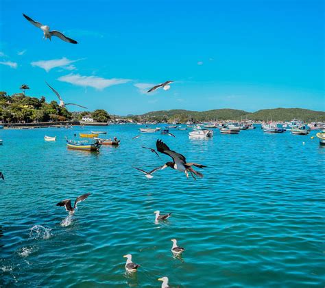 Praia Da Arma O O Click Mais Famoso De B Zios Prefeitura Municipal