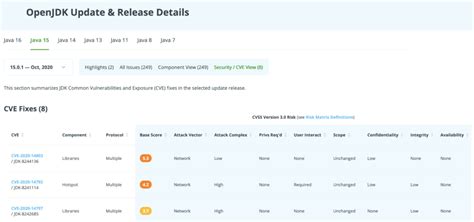 cvss 101 first steps with common vulnerability scoring system foojay