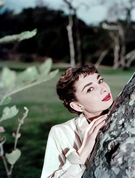 Audrey Hepburn Photographed By Bob Willoughby DaftSex HD