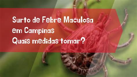 Campinas Surto De Febre Maculosa Quais Medidar Tomar