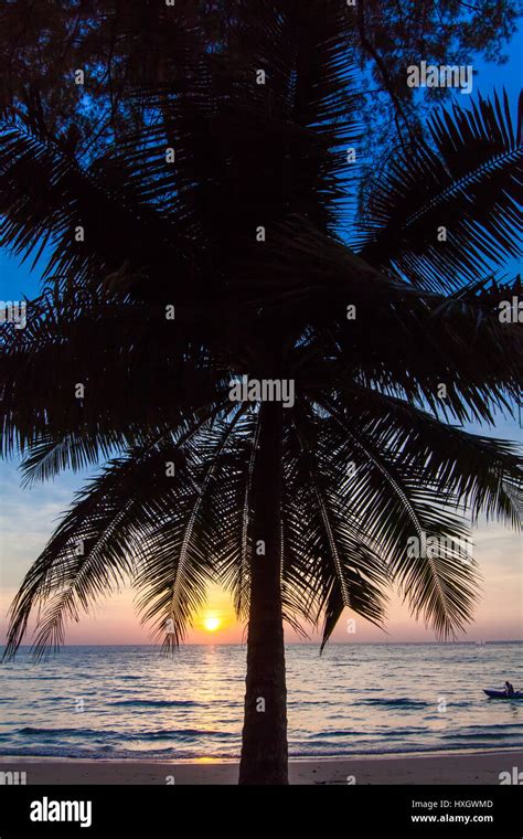 Beautiful Tropical Sunset With Palm Trees Tropical Beach Palms On The