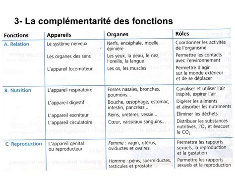 Tableau Des Syst Mes Du Corps Humain Et De Leurs Fonctions