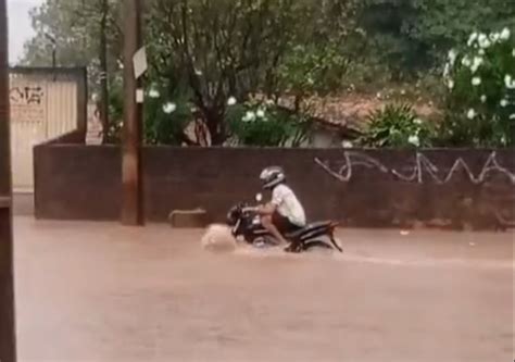 VÍDEOS Forte chuva alaga diversos pontos da Grande São Luís O Imparcial