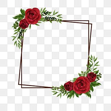 Floral Frame Rectangle White Transparent Simple Rectangle Floral Frame