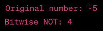 Bitwise Operators For Negative Numbers In C Dataflair