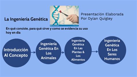 La Ingenier A Gen Tica By Dylan Quigley On Prezi