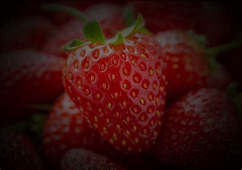 Create A Vignette Filter Using OpenCV In Python CodeSpeedy