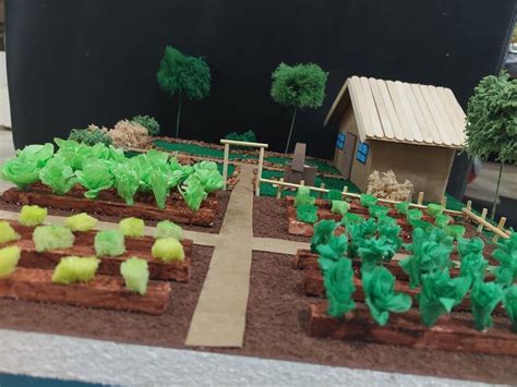 Maqueta De Huerta Escolar Maquetas De Paisajes Maquetas Escolares