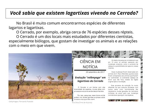 Plano de Aula 9º Ano Conhecimentos sobre teorias evolutivas