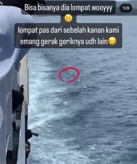 Lagi Penumpang Penyeberangan Ke Sabang Lompat Ke Laut AcehGround