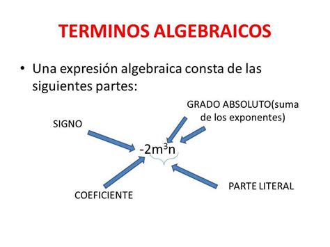 Elementos De Una Expresion Algebraica Ejemplos Nuevo Ejemplo The Best