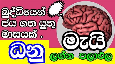 Sagittarius Horoscope Sagittarius May Predictions