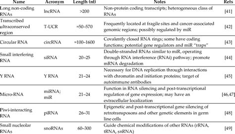 main non coding rna ncrna classes listed according to increasing download table