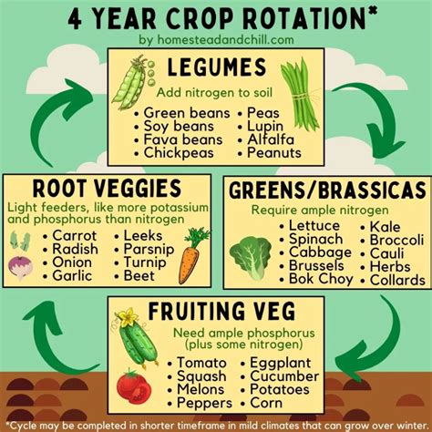 How To Practice Crop Rotation Benefits Explained Homestead And