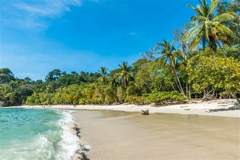 Descubre Las Mejores Playas En Costa Rica