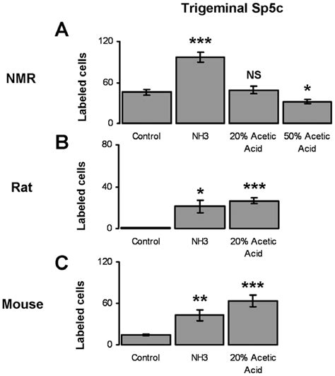 Average Number Of Fos Labeled Cells In Trigeminal Sp5c In Control And