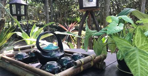 Hue Thuy Bieu Village Bike Tour With Lunch GetYourGuide