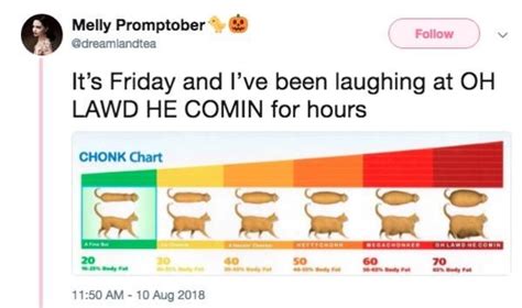 The Chonk Chart Chonk Oh Lawd He Comin I Love To Laugh Funny