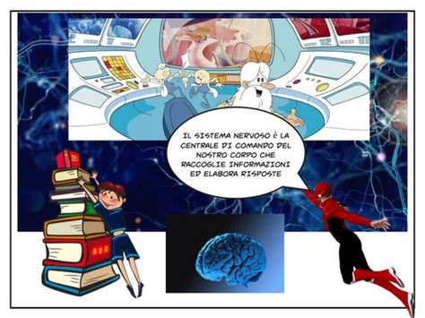 Book Creator Che cos è e come funziona il sistema nervoso