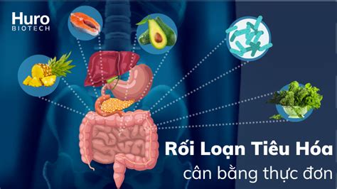 Cân Bằng Thực Đơn Cho Người Rối Loạn Tiêu Hóa