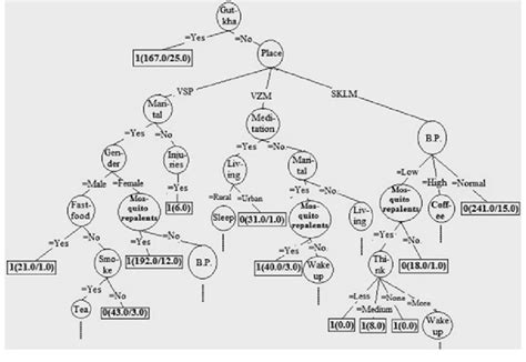 c4 5 classification algorithm visualization download scientific diagram