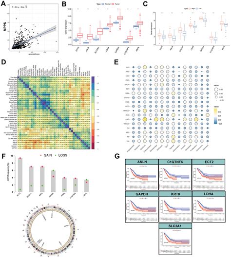 Prediction Of Prognosis And Immunotherapy Efficacy Based On Metabolic