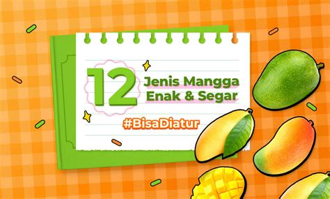Jenis Mangga Terpopuler Di Indonesia Kamu Suka Yang Mana