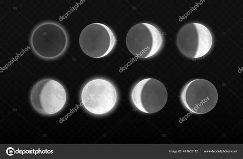Eclipse lunar diferentes fases de astronomía infográfica Ciclo