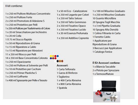 Kit Professionale Ripristino Pelle Accessori Fenice Care System
