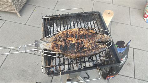 Sommerzeit Ist Grillzeit R Angelfreunde