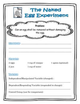 Chemical Change The Naked Egg Experiment And Scientist Log TPT