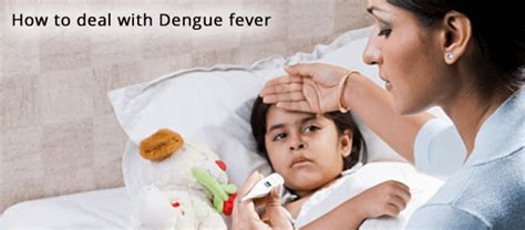 How To Deal With Dengue Fever India Home Health Care