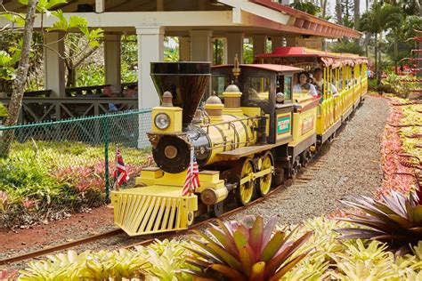 COMBO Pineapple Express Train Pineapple Garden Maze Plantation
