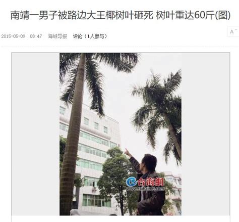 广东男子被树叶砸晕在地网友南方的树叶不好惹 澎湃号媒体 澎湃新闻 The Paper