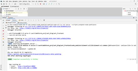 Webstorm Vue Webstorm Debug Vue Csdn