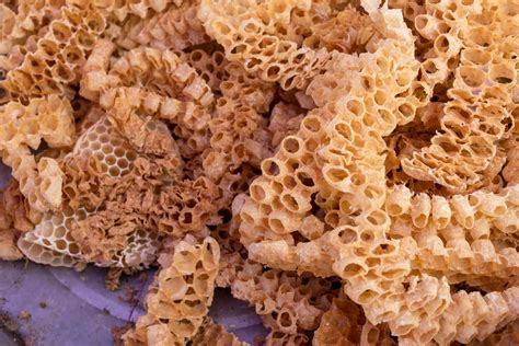 Propolis Benefits Uses Side Effects And More