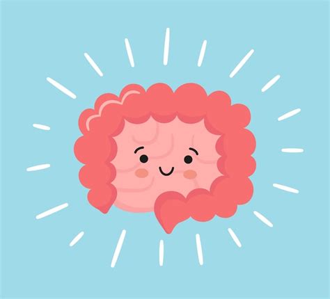 Joyeux Caractère Kawaii Du Petit Et Du Gros Intestin Organe Interne Du